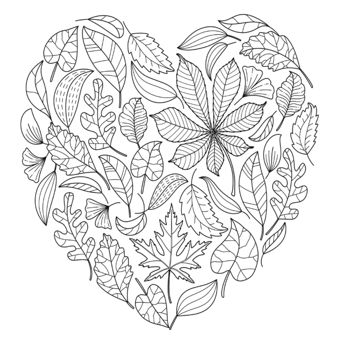 Falling Leaves Colouring Page – Castle Arts