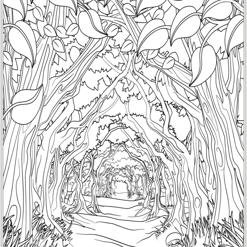 Woodland Path Colouring Page – Castle Arts
