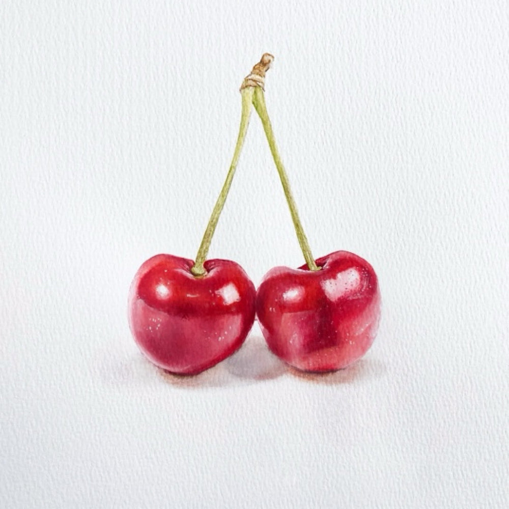 How to Create Watercolour Pencil Cherries | Castle Arts UK