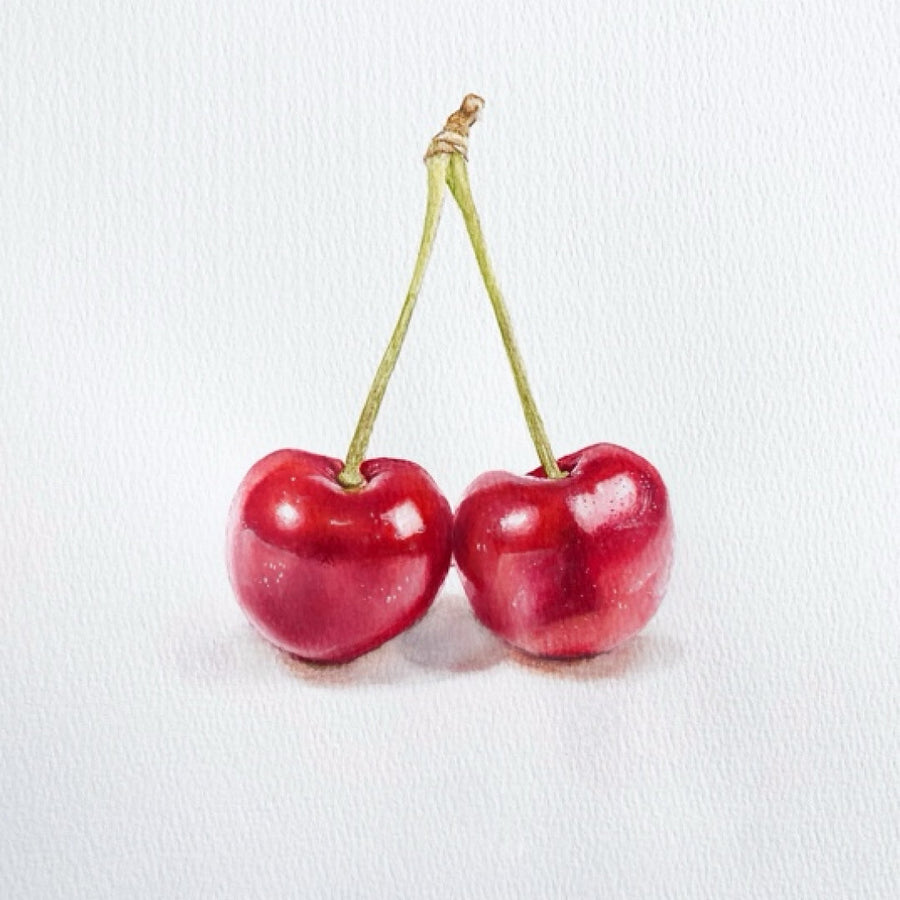 How to Create Watercolour Pencil Cherries | Castle Arts UK