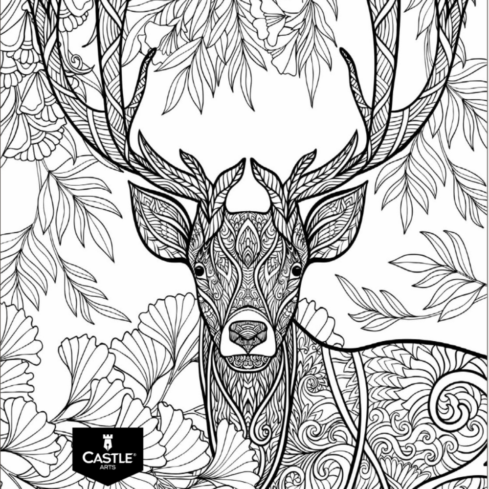 Deer Colouring Page – Castle Arts